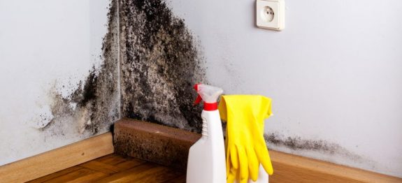 Como remover o bolor com 1 único produto de forma natural e duradoura ...