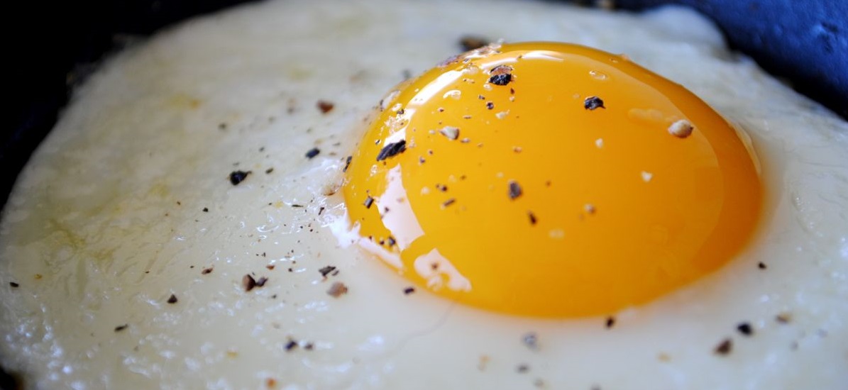 Como fritar ovo com água (e sem óleo) - Veja a Receita: