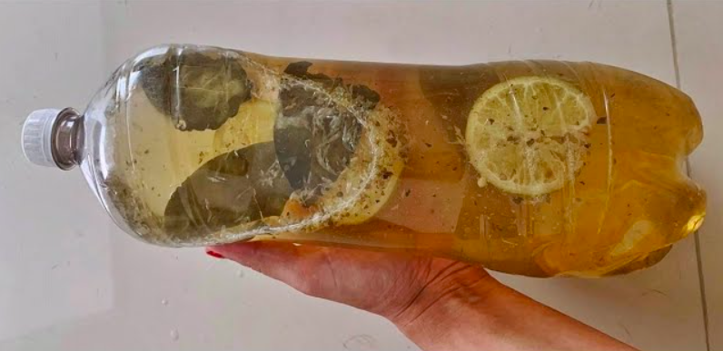 GARRAFADA GELADA PARA DESINCHAR APÓS COMILANÇA! ESSA MISTURINHA ELIMINA ...