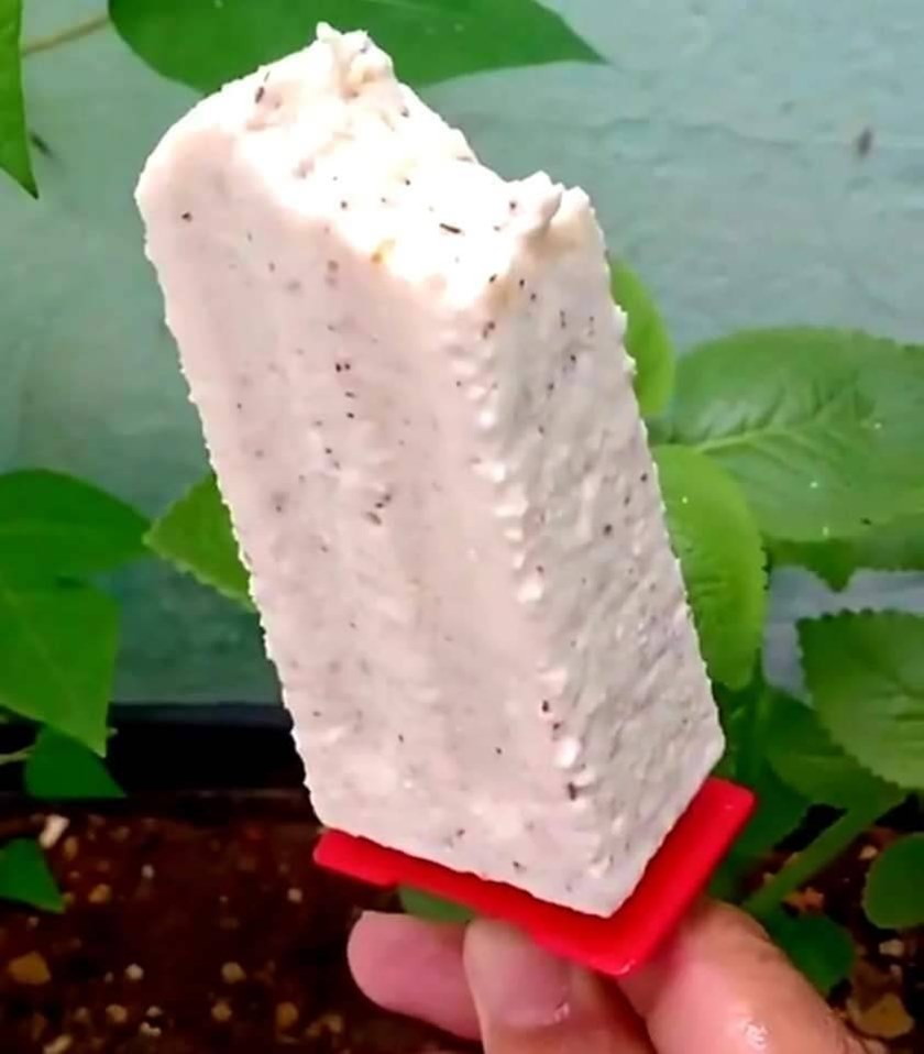 PICOLÉ CREMOSO DE COCO CASEIRO - Veja a Receita: