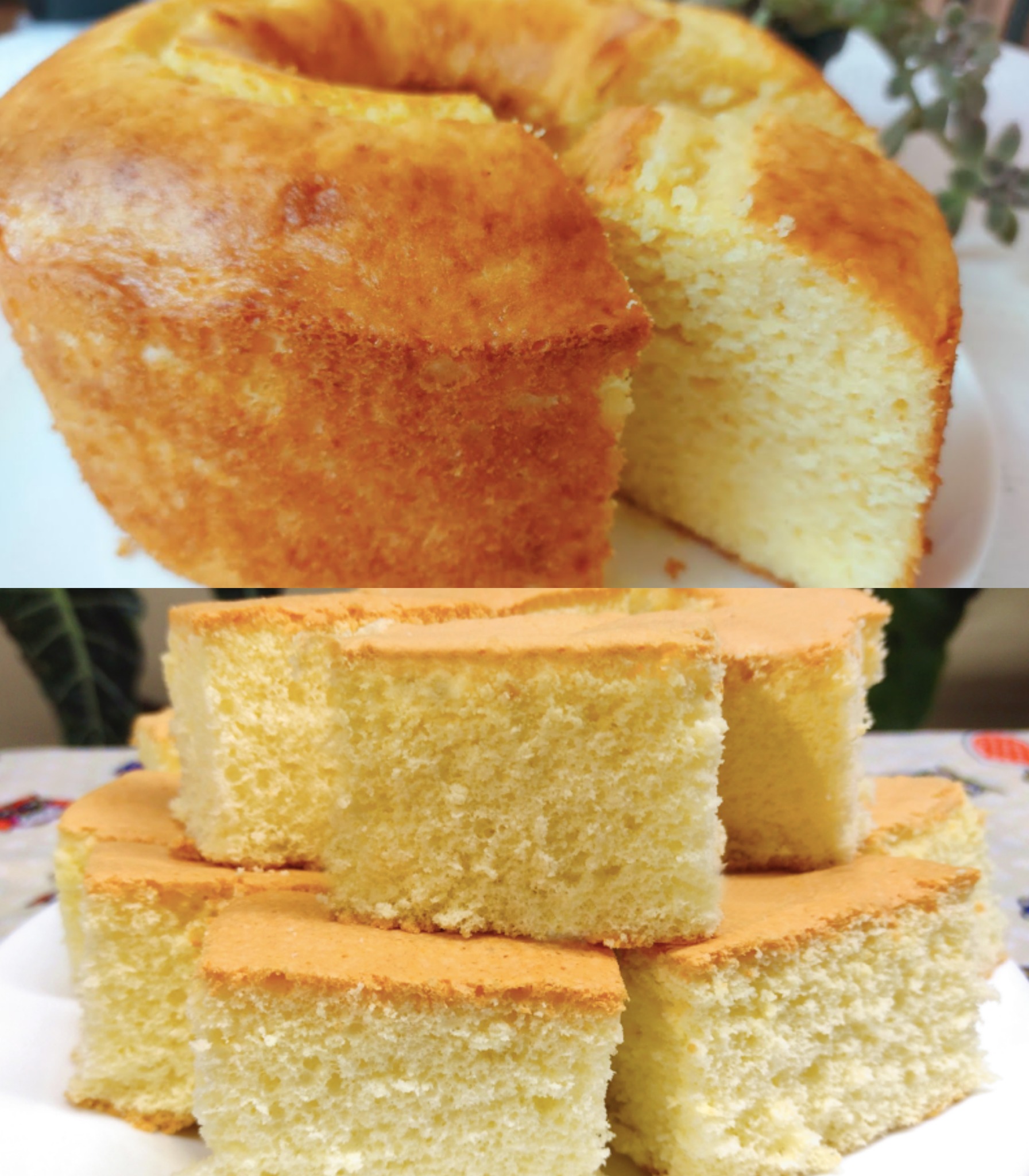 Só 2 OVOS contei o segredo desse BOLO SIMPLES FOFINHO e econômico...Ver ...