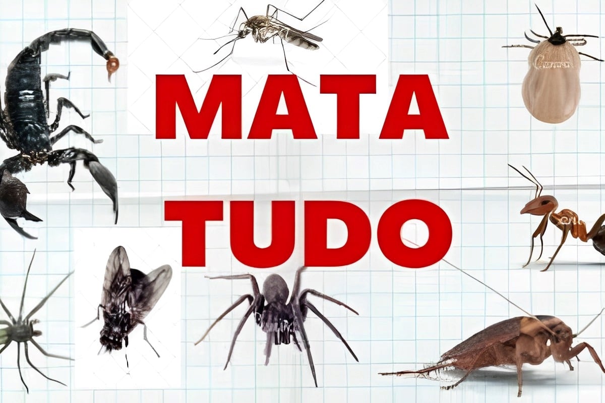 Inseticida caseiro mata tudo feito com 2 ingredientes que você tem em ...